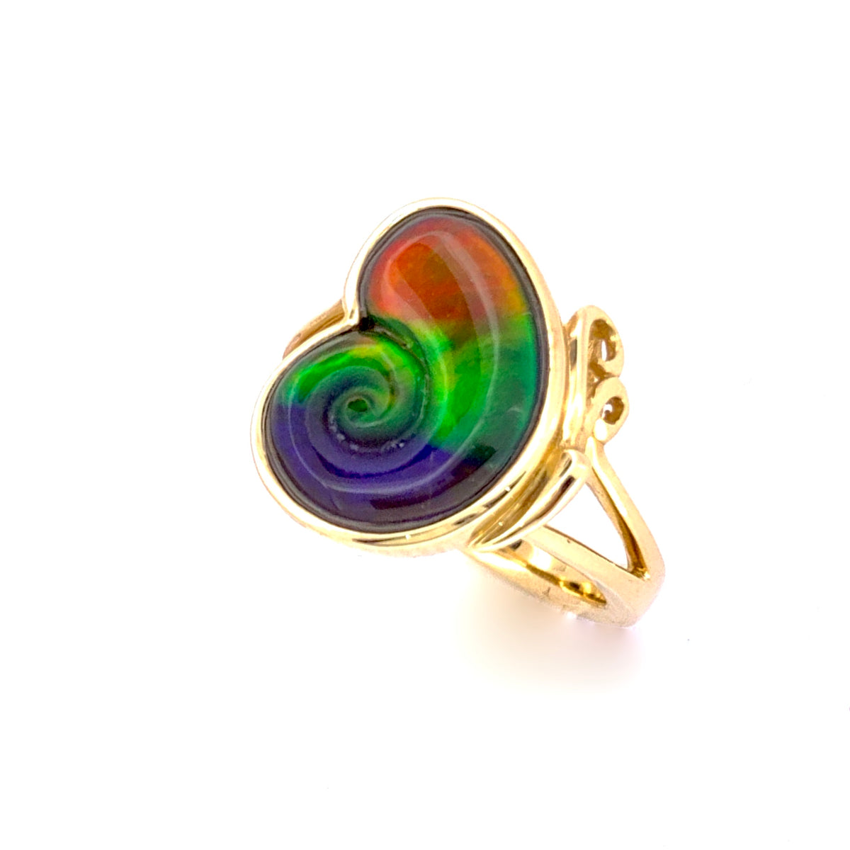AMMONITE SHAPE AMMOLITE RING – Exotic Gems